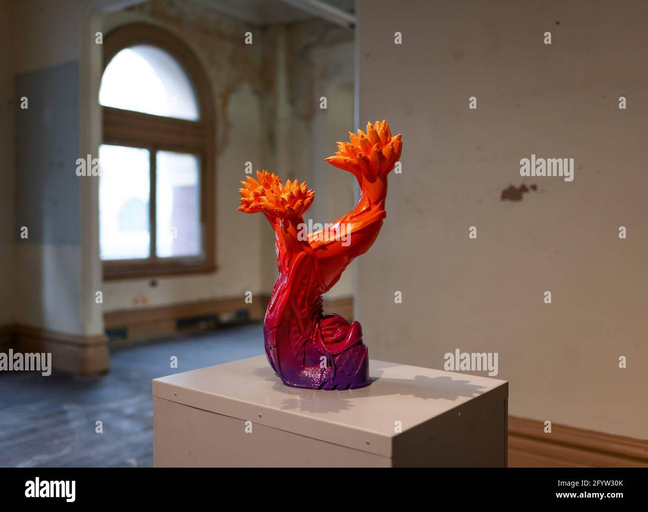 Piccinini patricia hi-res stock photography and images - Alamy