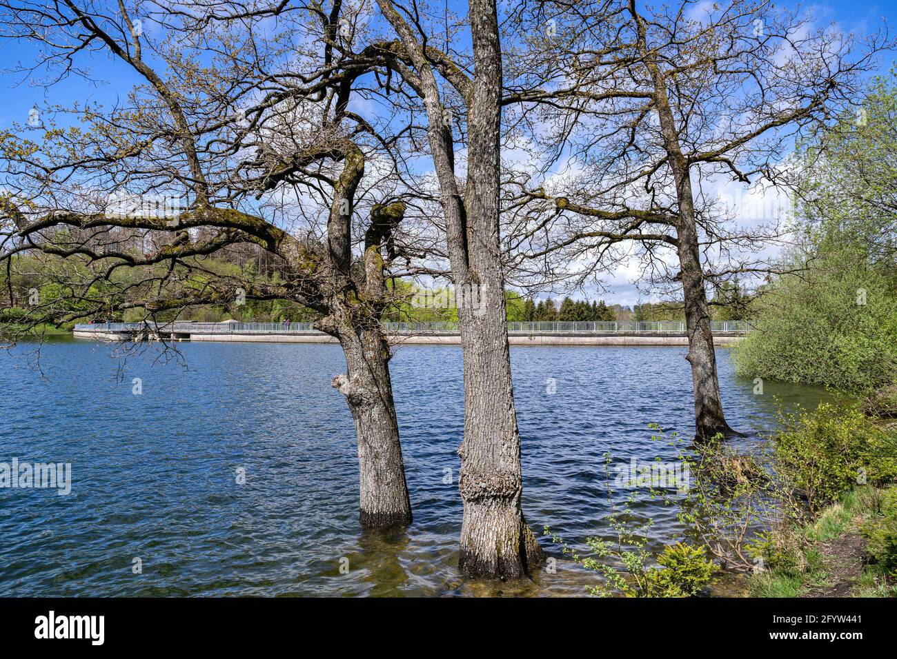 dam of the Brucher reservoir near Marienheide, Germany Stock Photo - Alamy