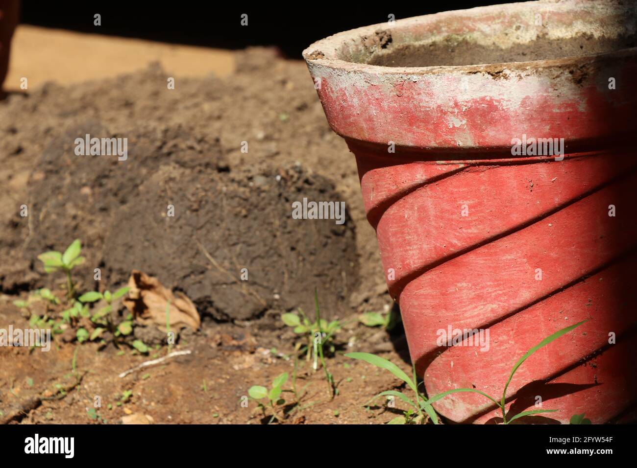 Gardener filling pot fresh hi-res stock photography and images - Alamy