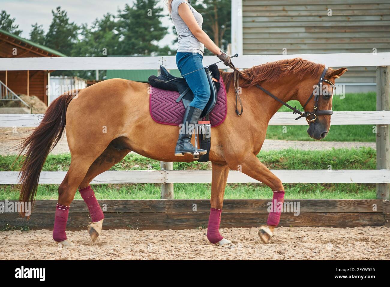 girl rider riding brown horse Stock Photo - Alamy