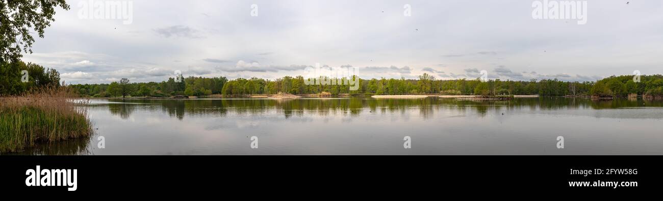 small islands with waterfowl in the pond, Vrbenske rybniky Nature ...