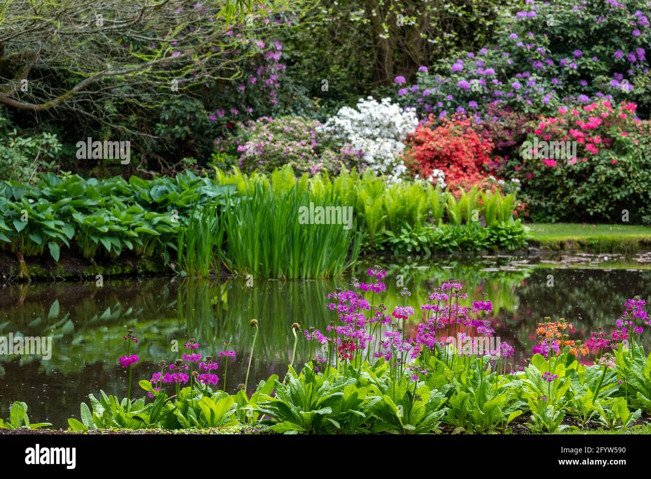 Leckford estate john lewis hi-res stock photography and images - Alamy