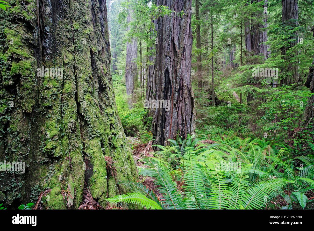 American coastal landscapes hi-res stock photography and images - Alamy