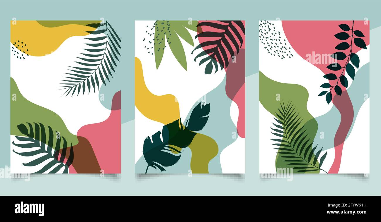 Set of cover brochure template organic shape natural tropical leaves on ...