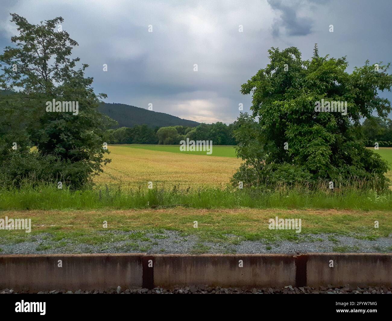 Countryside View of Green Fields and Trees Captured from a Train Window ...