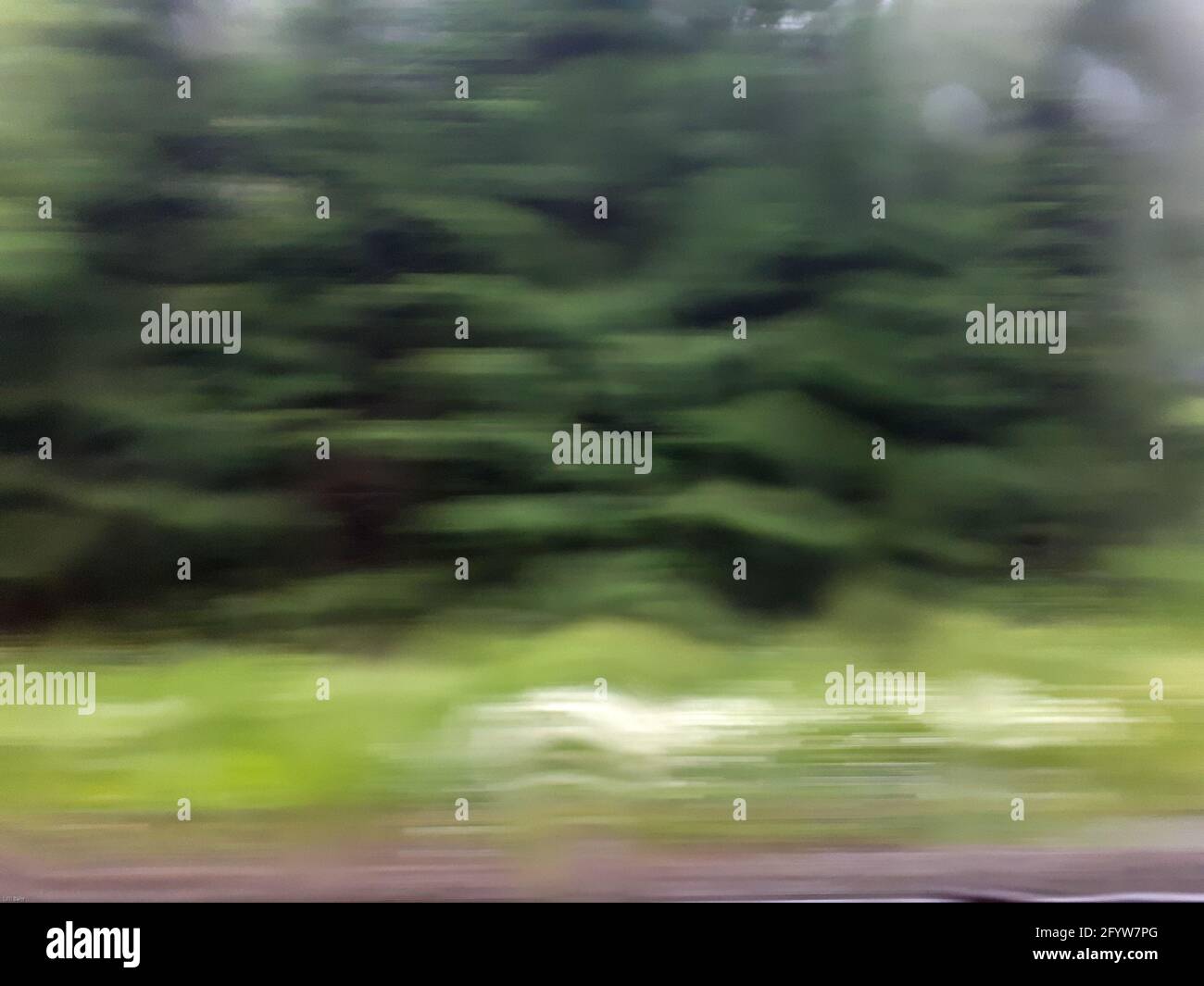 Abstract Motion Blur of Forest and Greenery Captured Through a Moving ...