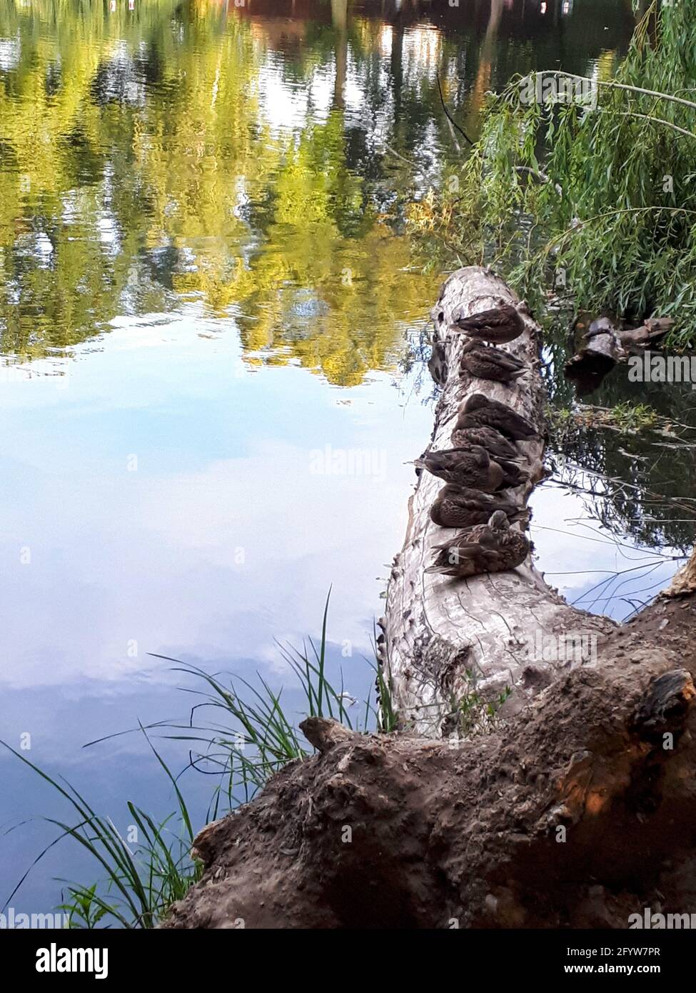 Man made rock hi-res stock photography and images - Alamy