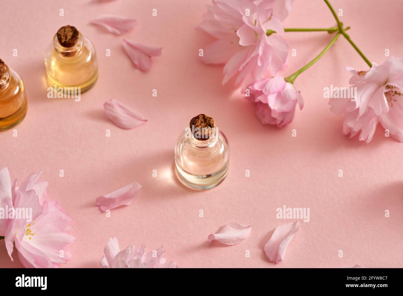 Bottle of essential oil with fresh pink kwanzan cherry blossoms on ...