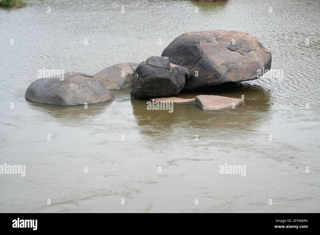 Myriad forms hi-res stock photography and images - Alamy