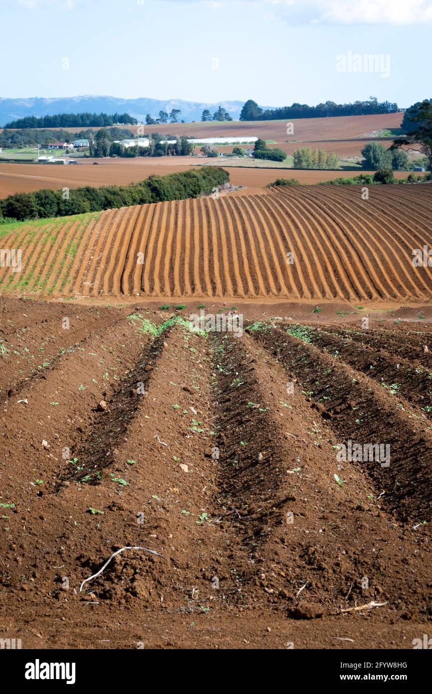 Ploughed soil texture hi-res stock photography and images - Alamy