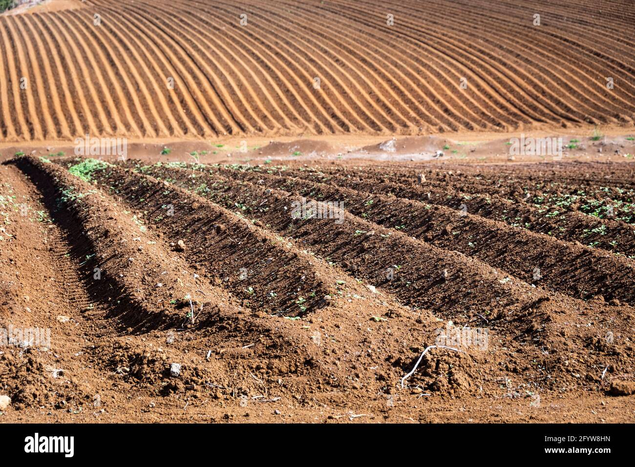 Ploughed soil texture hi-res stock photography and images - Alamy