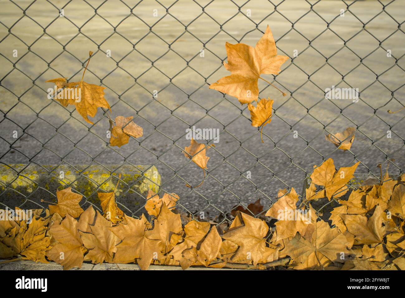 Parking lot fence hi-res stock photography and images - Alamy