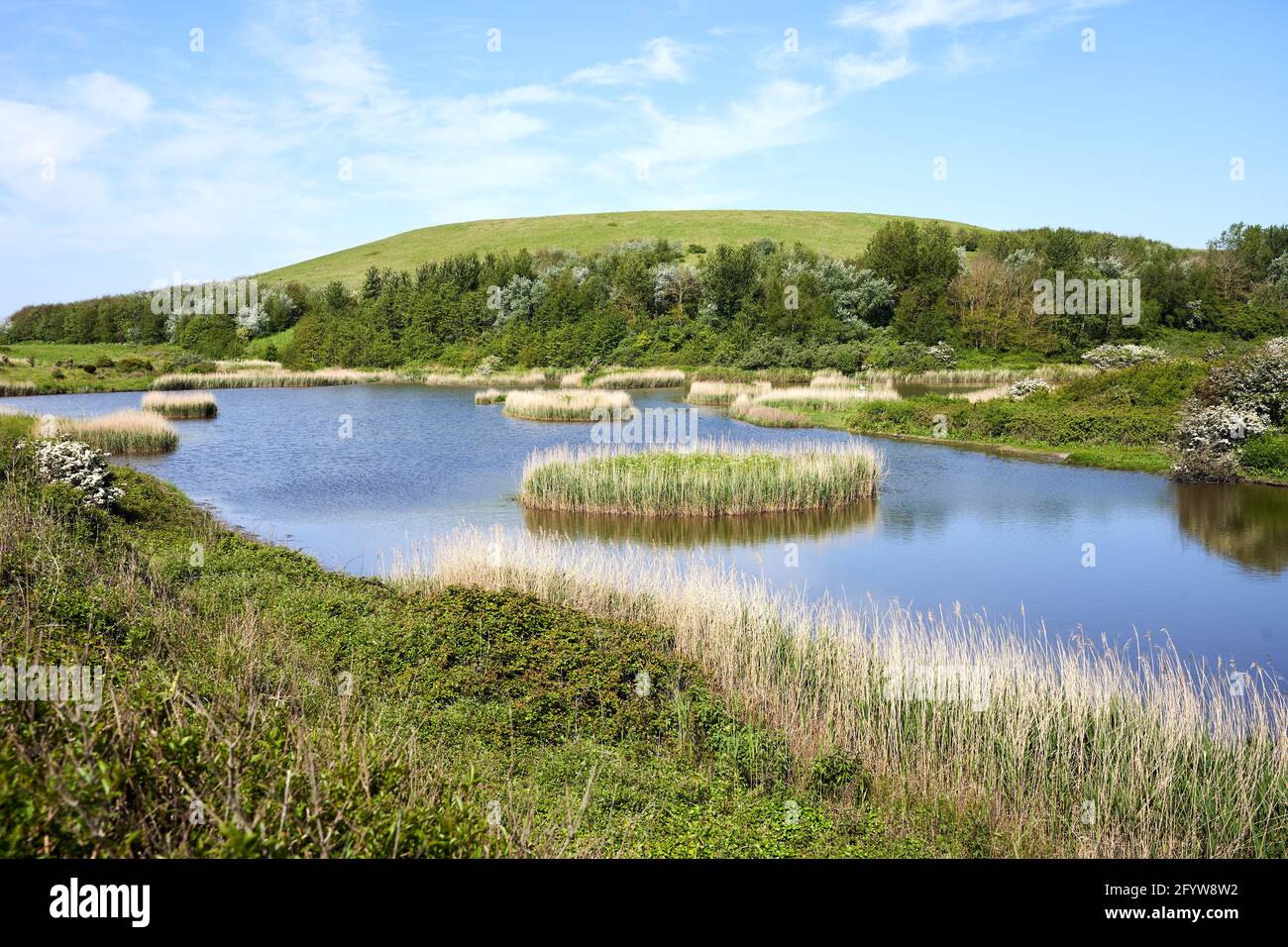 Biodiversity of the nature reserve hi-res stock photography and images ...