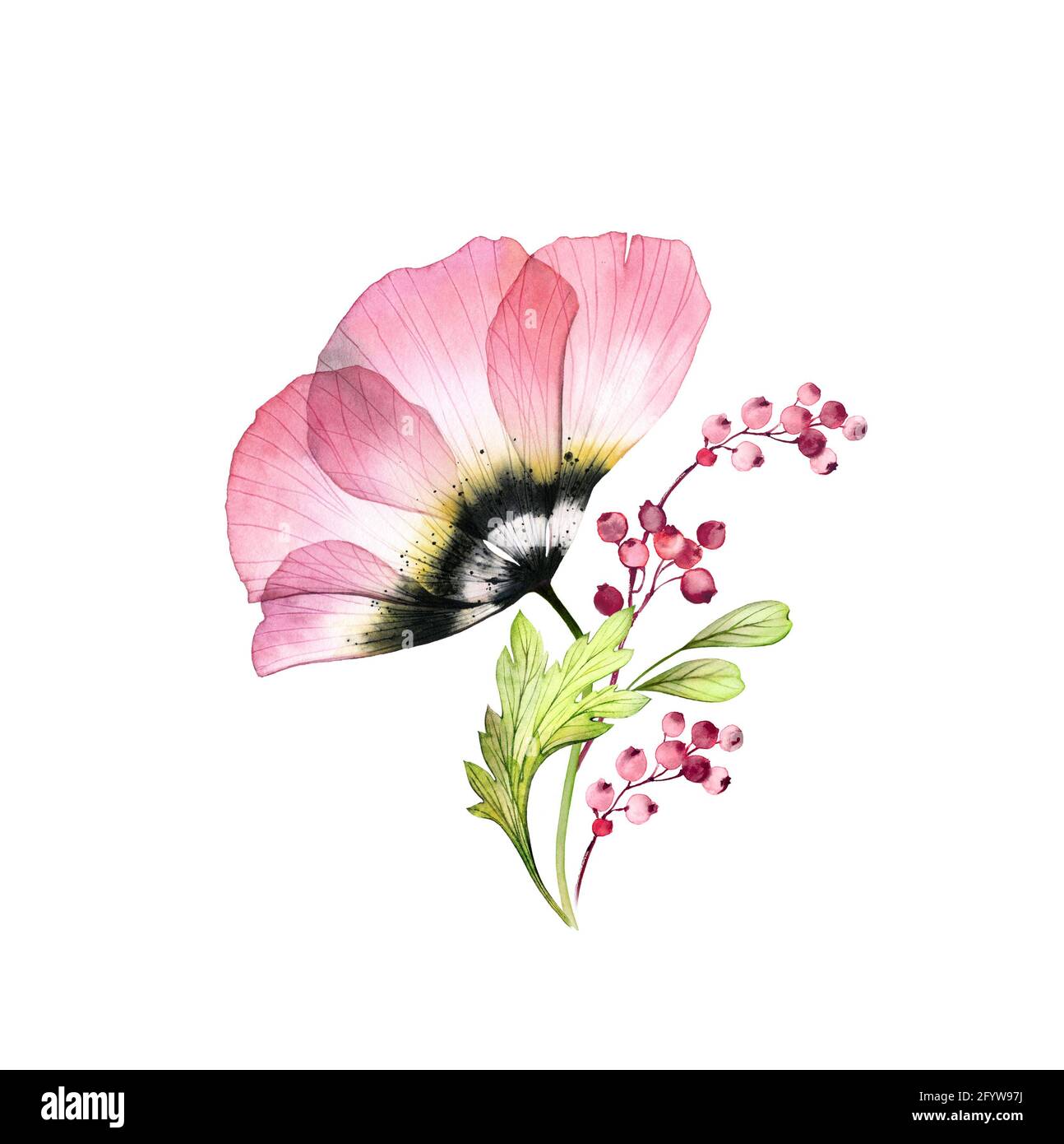 X ray flower hi-res stock photography and images - Alamy