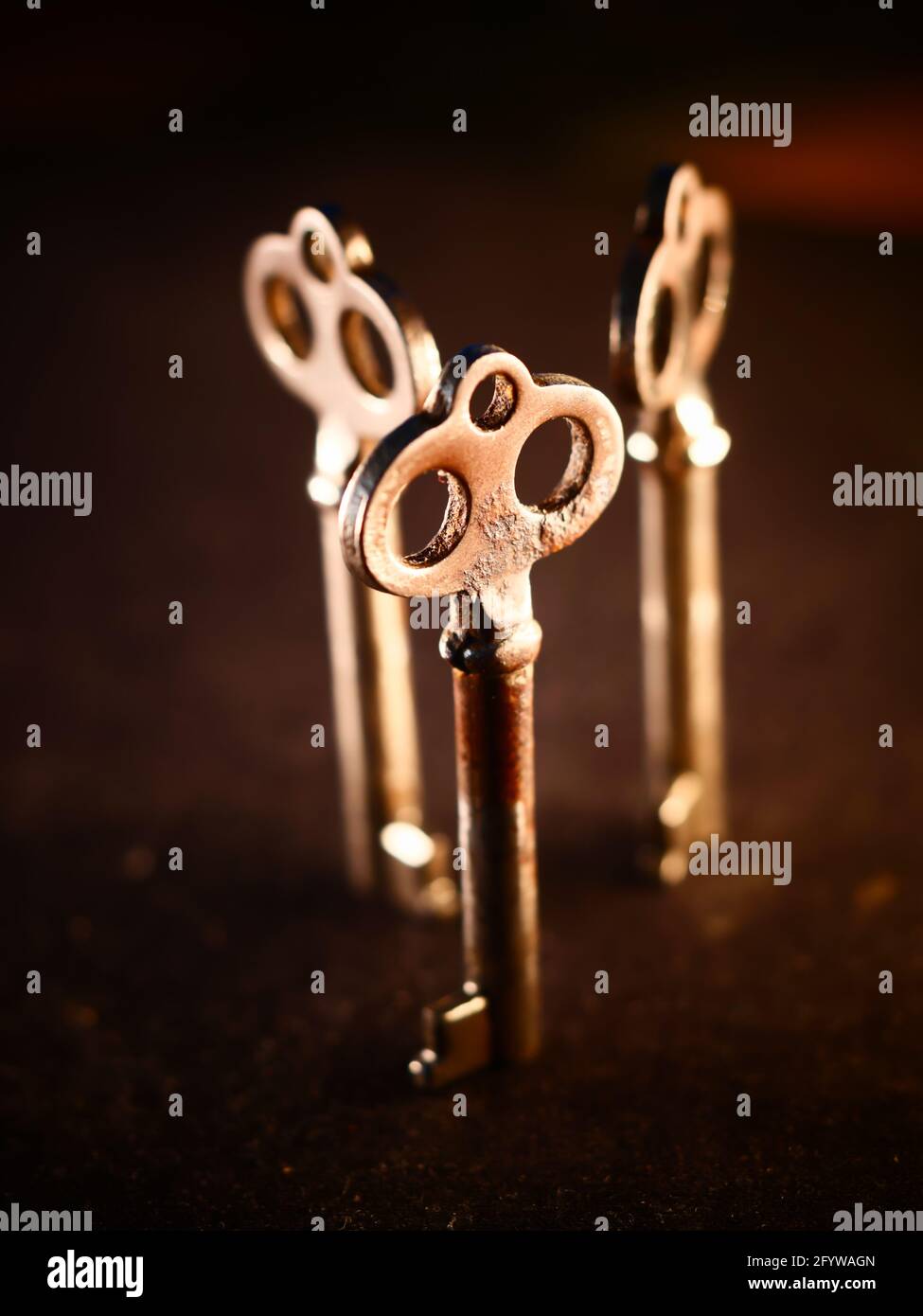 A vertical shot of golden keys for a door on a blurred background Stock ...