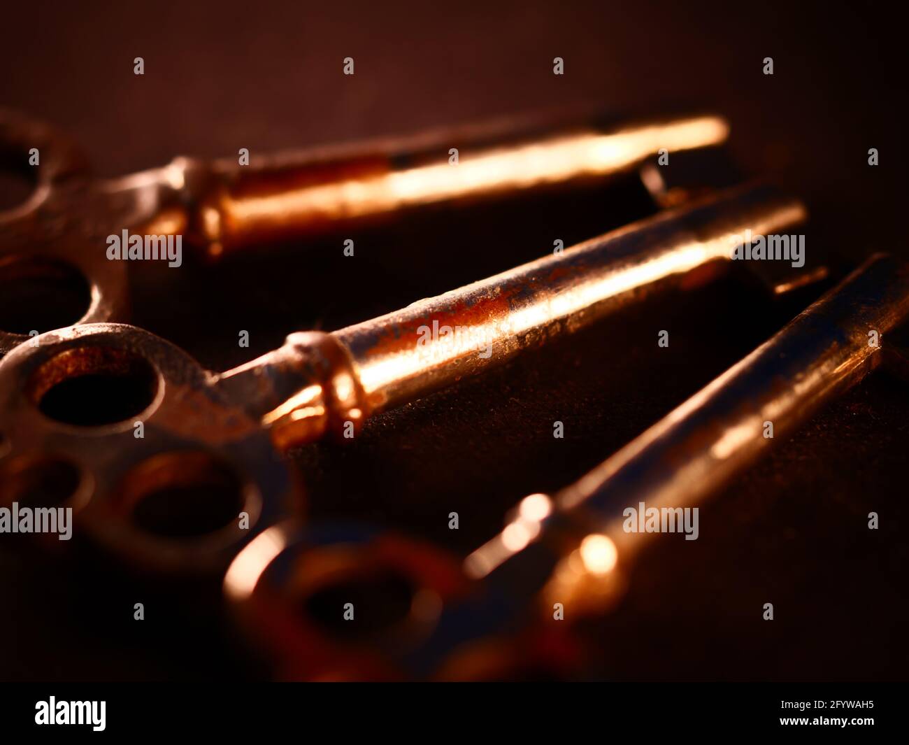 A closeup shot of golden keys for a door on a blurred background Stock ...
