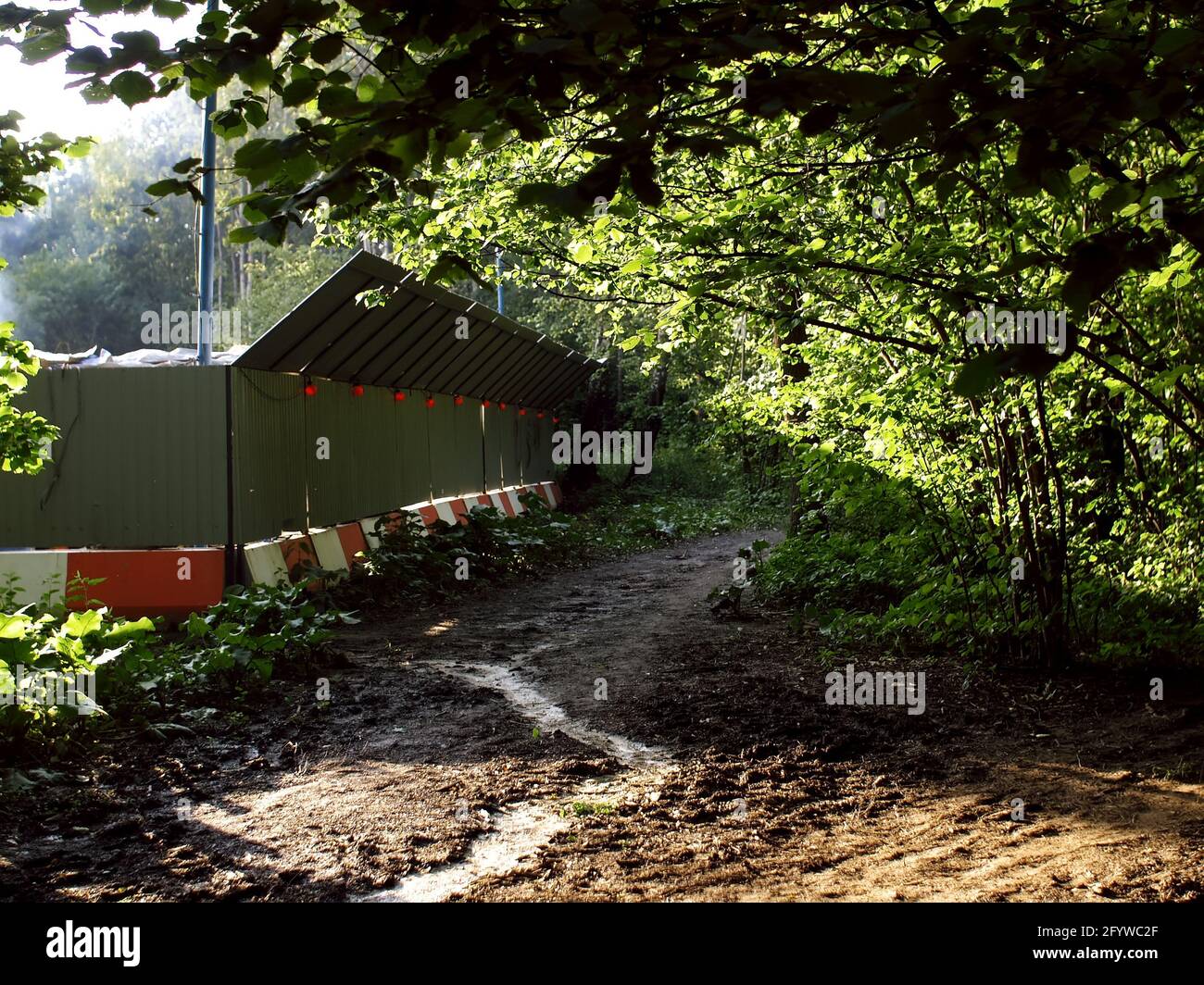 Clear path through trees hi-res stock photography and images - Alamy