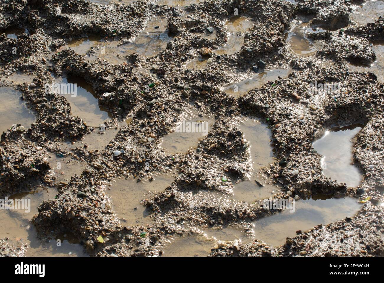 A close up shot of mud on the ground Stock Photo - Alamy