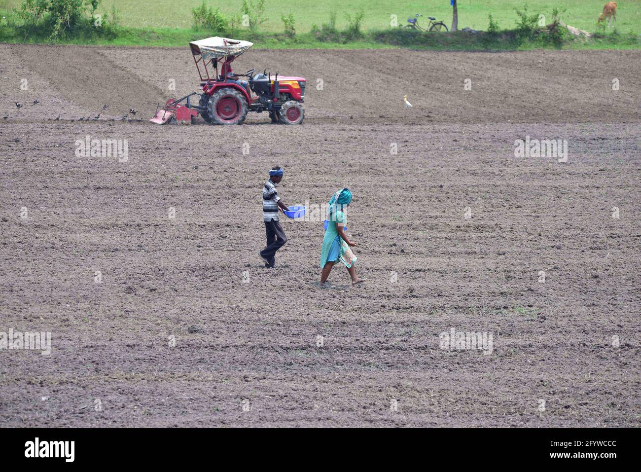 Assam, India's northeastern state of Assam. 30th May, 2021. Farmers ...