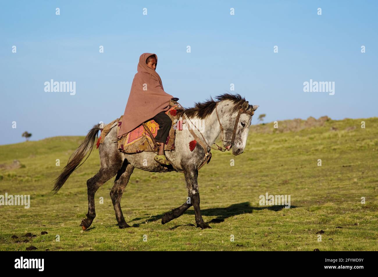Amhara, Ethiopia - October 2011: Ethiopian Child shepherd riding horse ...