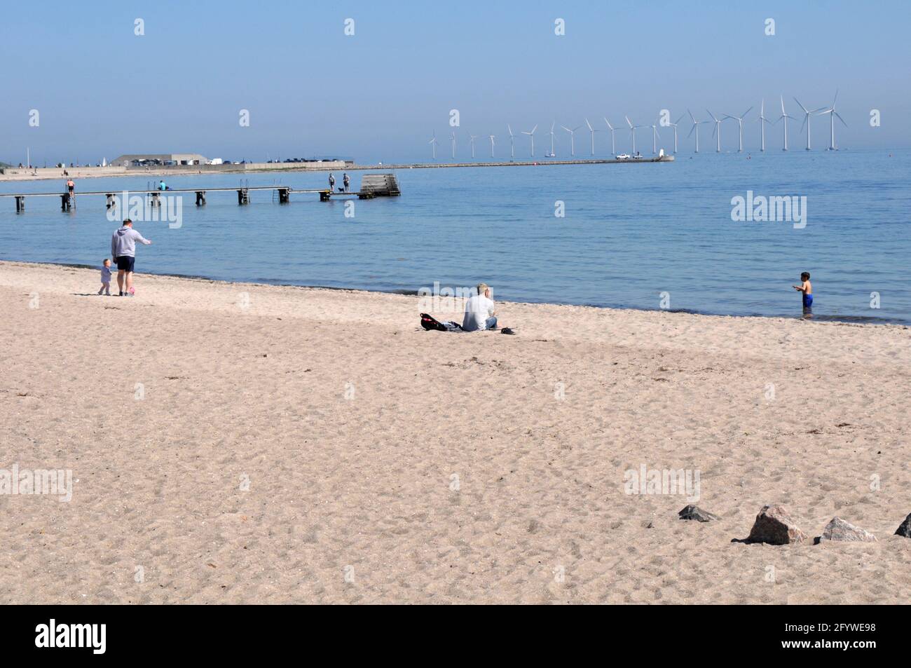 Copenhagen Denmark Beaches THE 5 BEST Copenhagen Region Beaches (2025)
