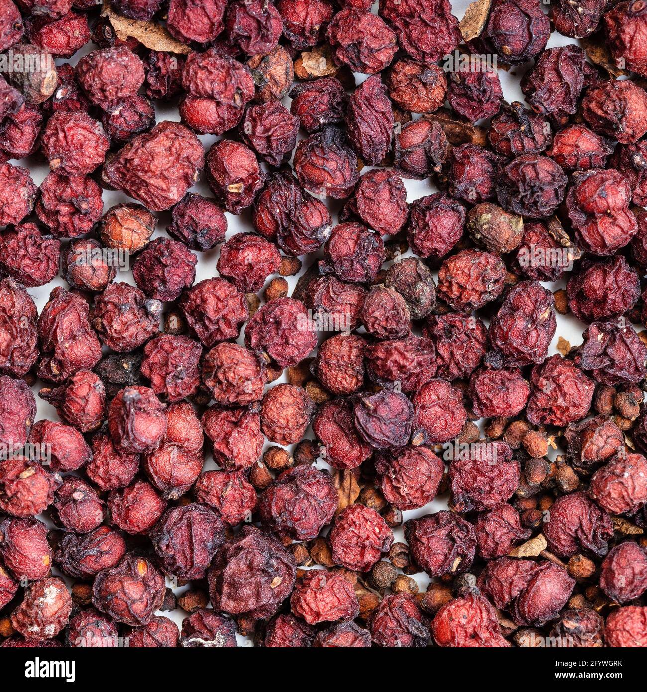 square food background - dried magnolia berries (Schisandra chinensis ...
