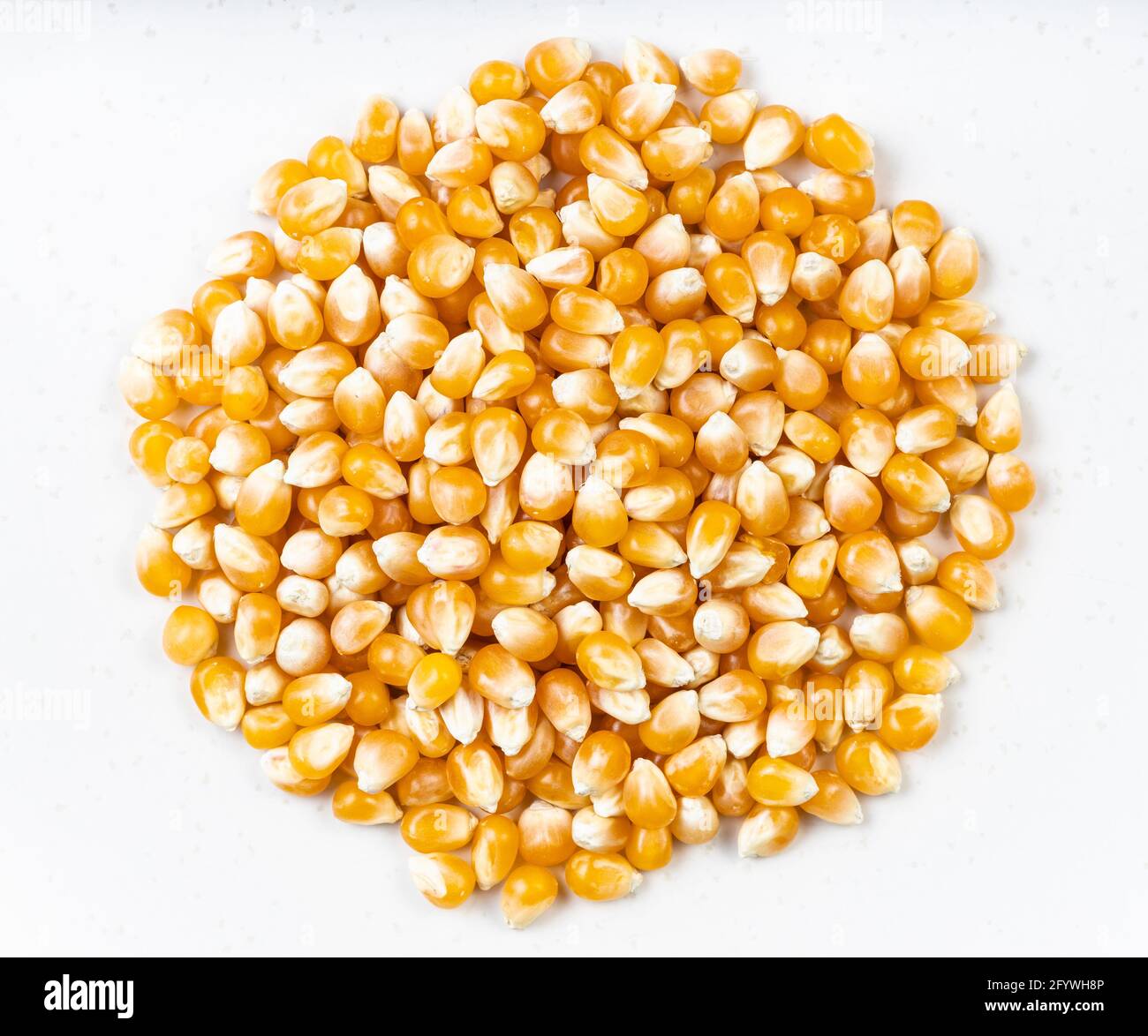 Dry corns pile hi-res stock photography and images - Alamy
