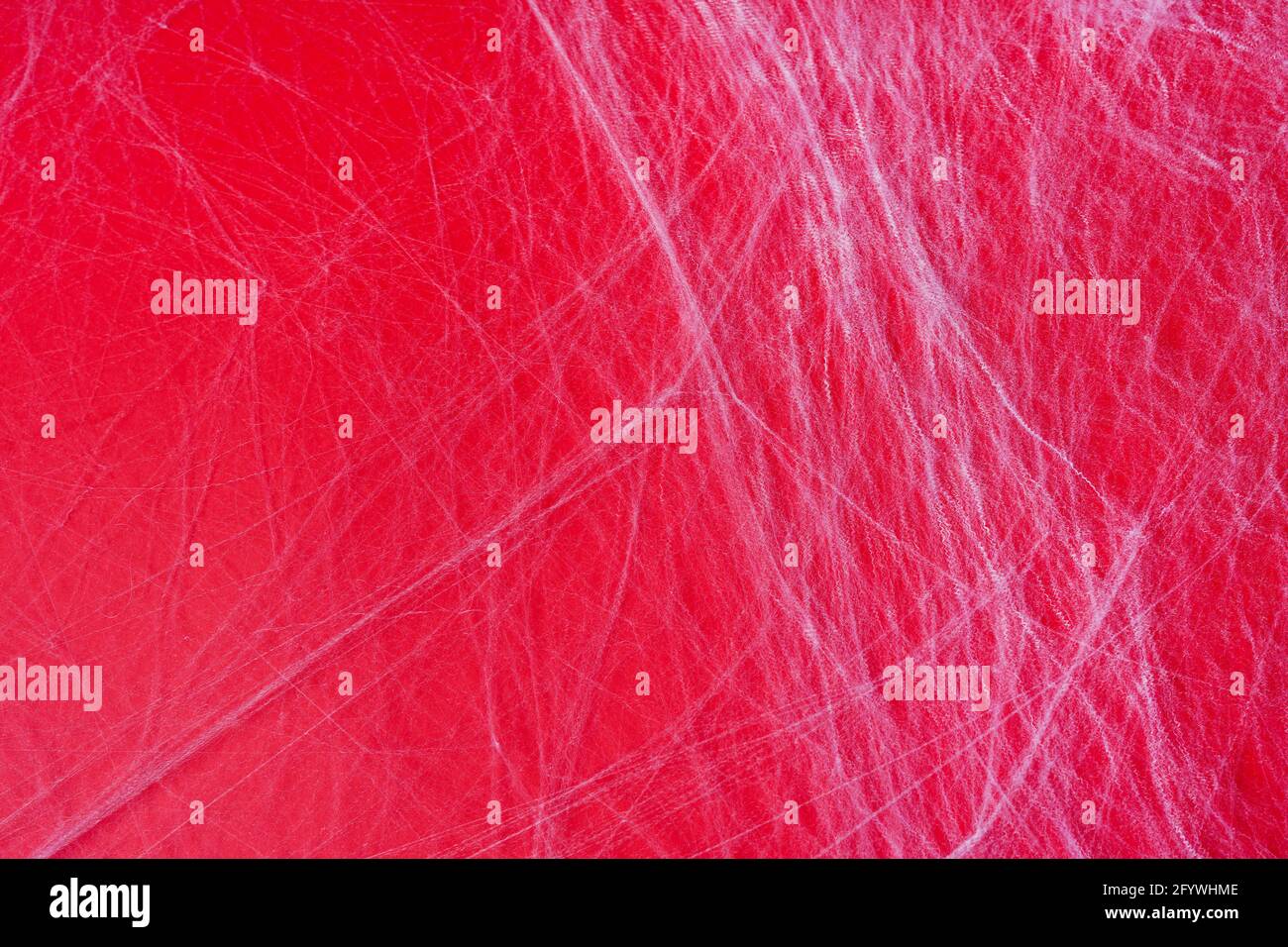 Black white and red spiders hi-res stock photography and images - Alamy