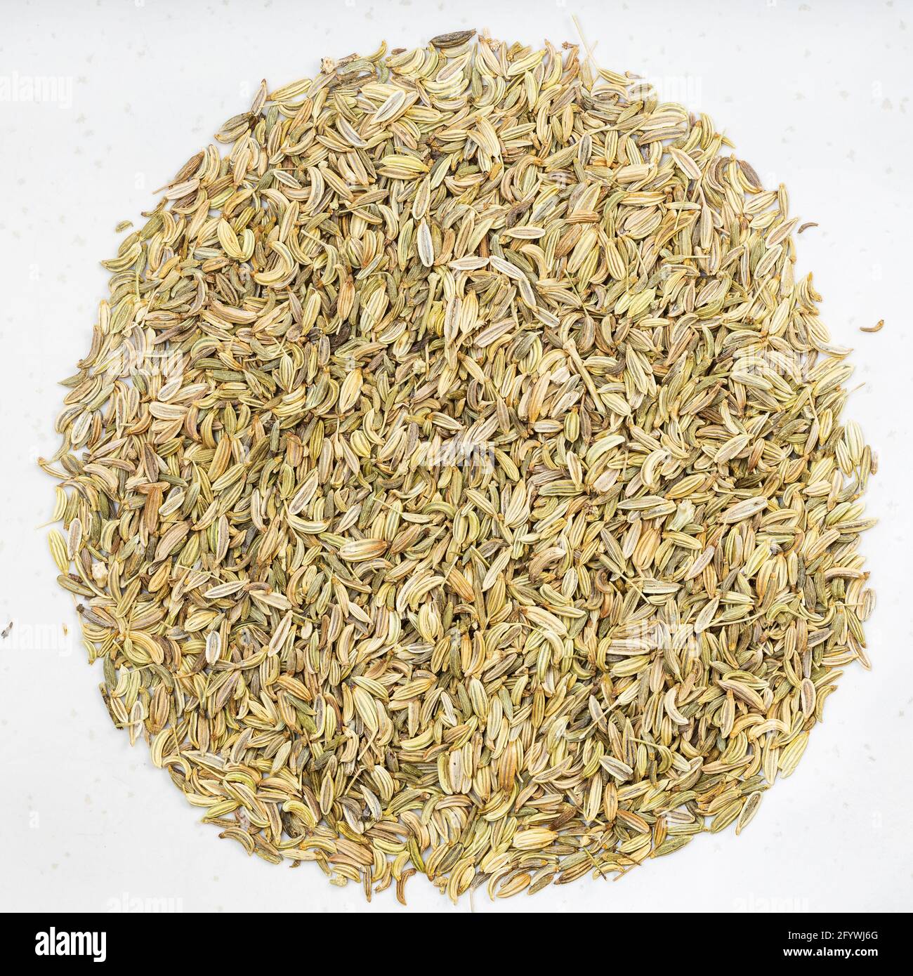top view of pile of fennel seeds on gray ceramic plate Stock Photo - Alamy