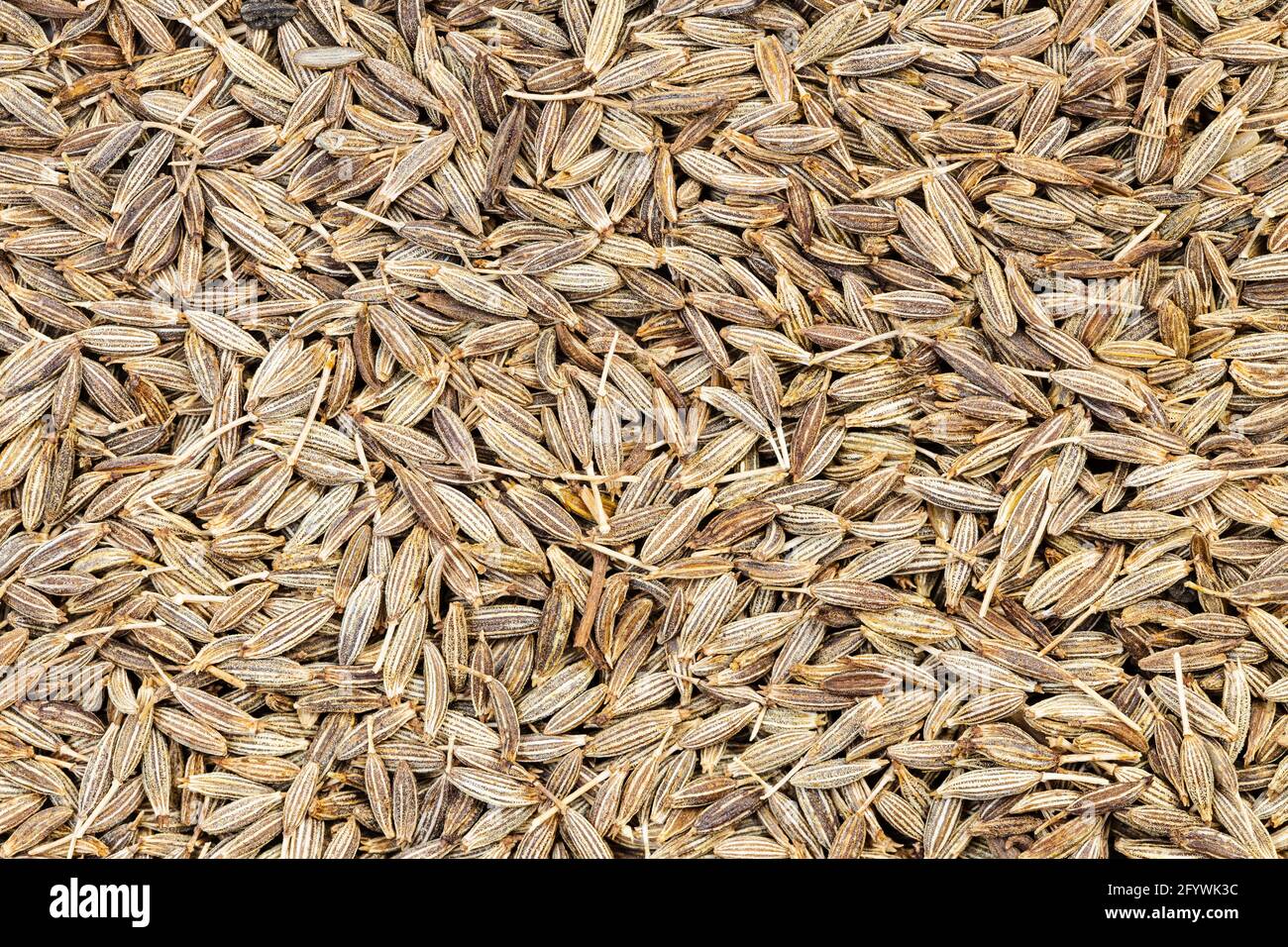 food background - many cumin (cuminum cyminum) seeds Stock Photo - Alamy
