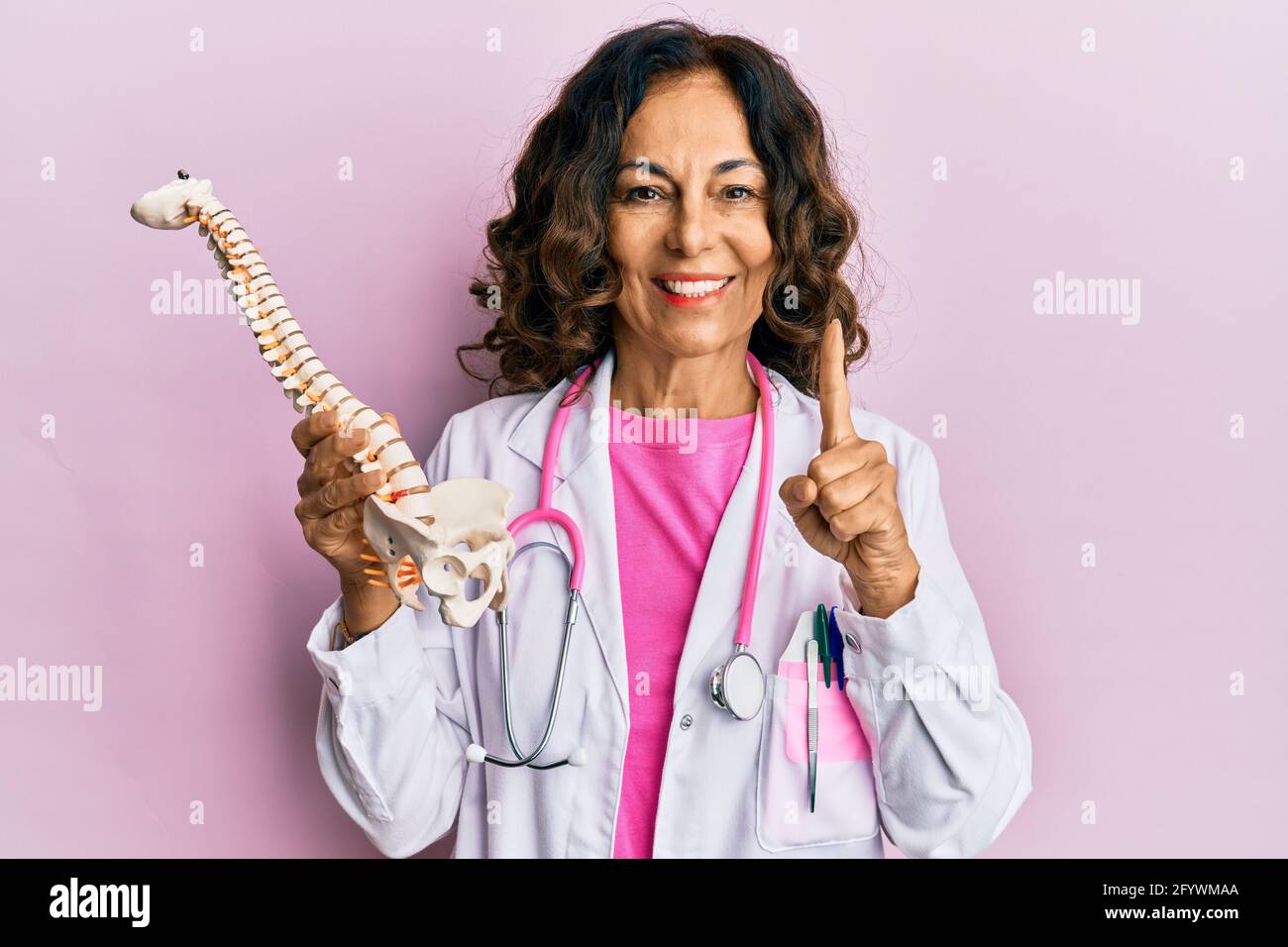 Middle age hispanic doctor woman holding anatomical model of spinal ...