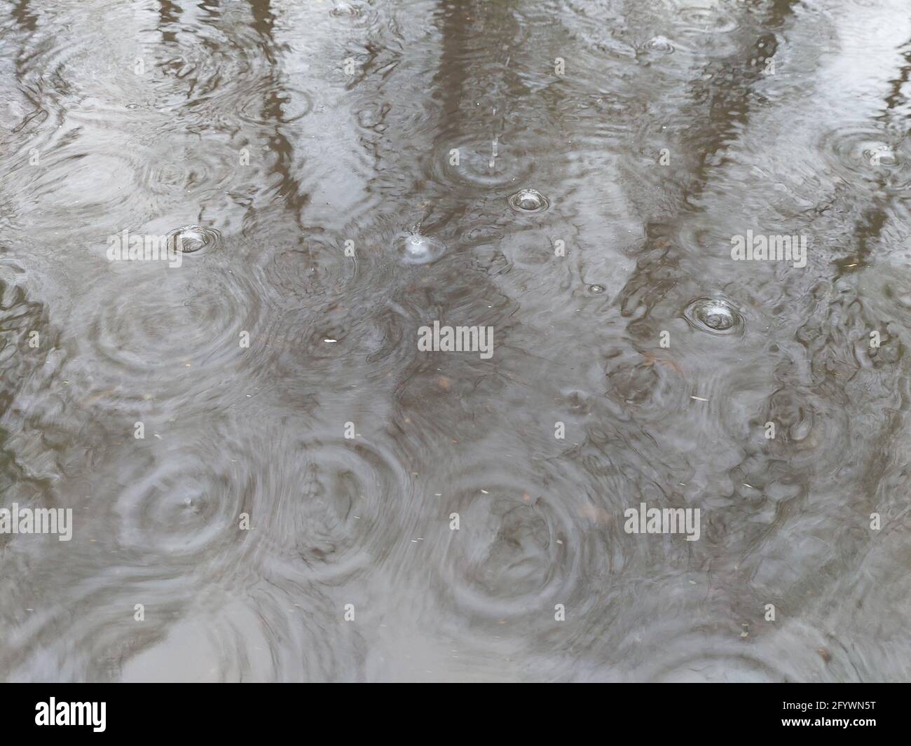 The water ripples formed by raindrops Stock Photo - Alamy