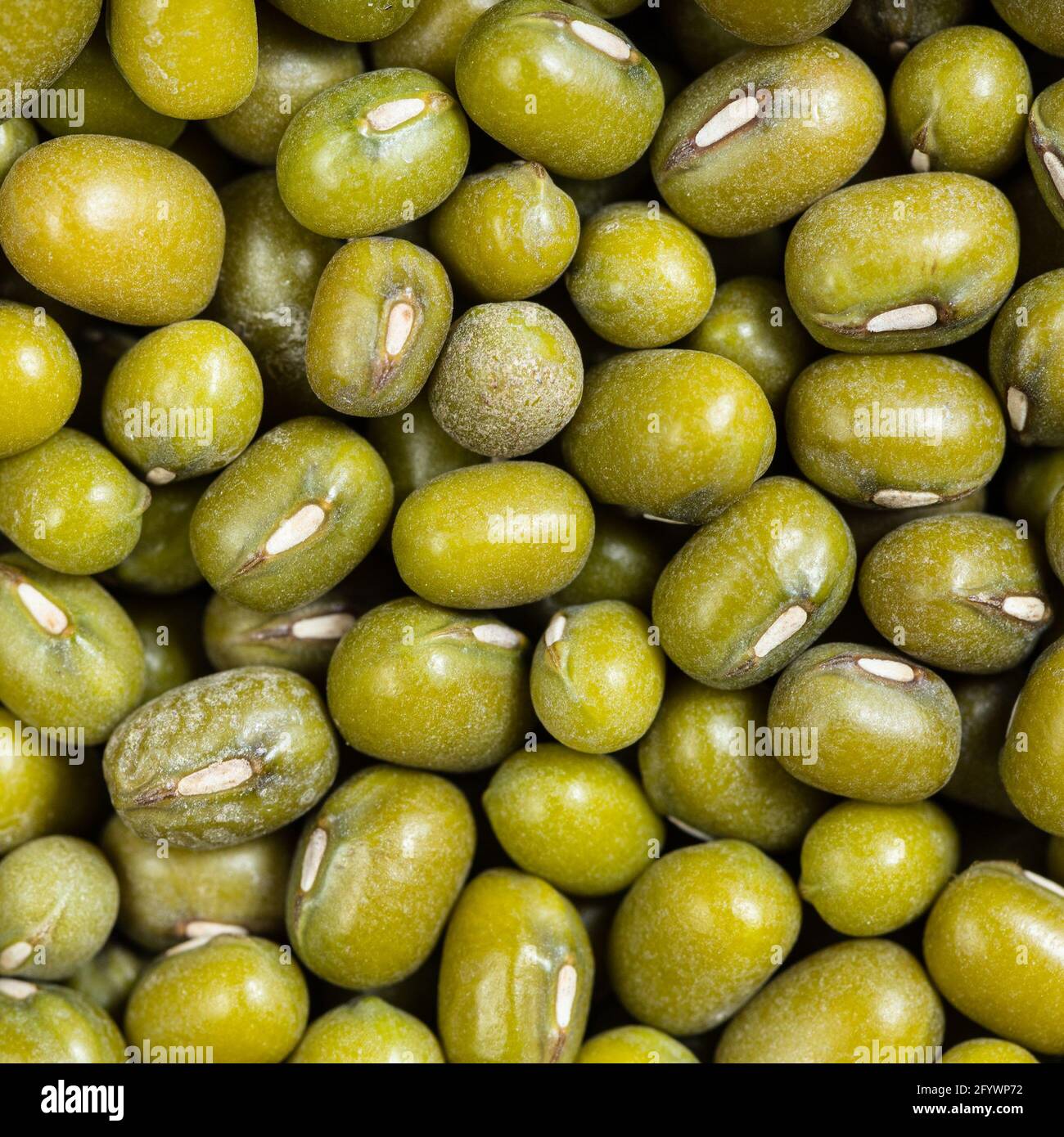 square food background - raw green mung beans close up Stock Photo - Alamy