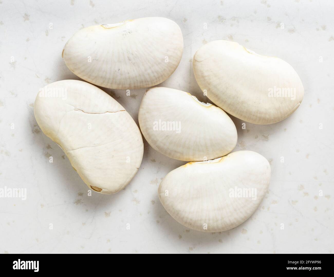 Lima bean seed hi-res stock photography and images - Alamy