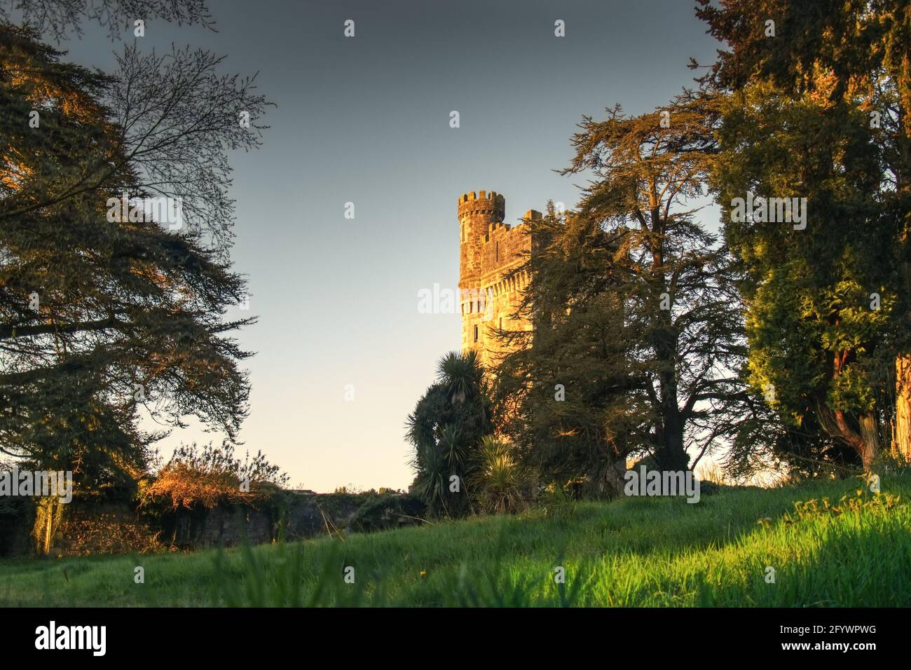 Glenart Castle and woods around, Arklow, Ireland Stock Photo - Alamy