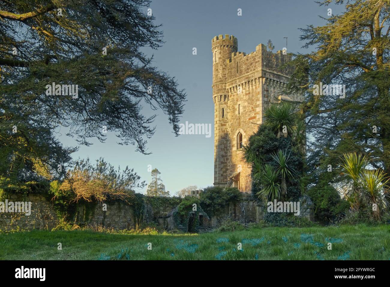 Irish mansion forest hi-res stock photography and images - Alamy