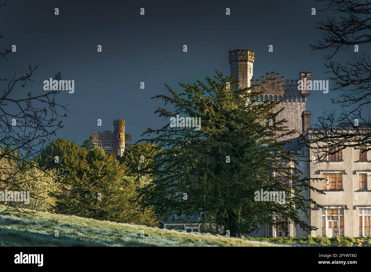 Glenart Castle and woods around, Arklow, Ireland Stock Photo - Alamy