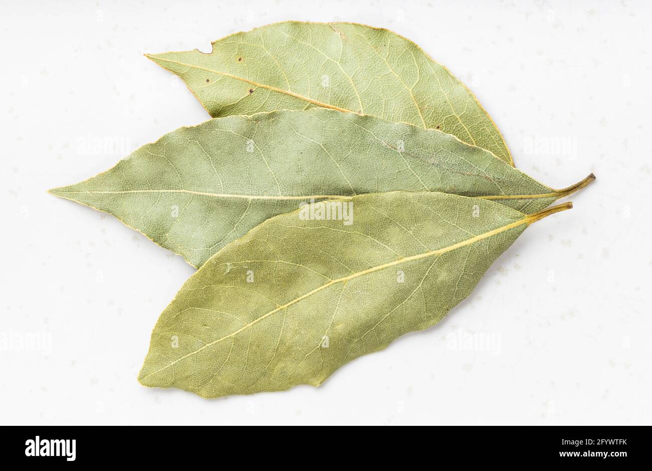 Whole bay leaves hi-res stock photography and images - Alamy