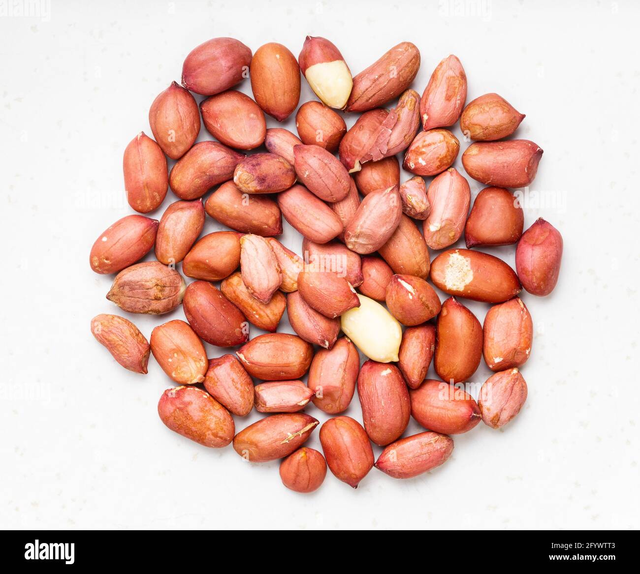 top view of pile of shelled peanuts close up on gray ceramic plate ...