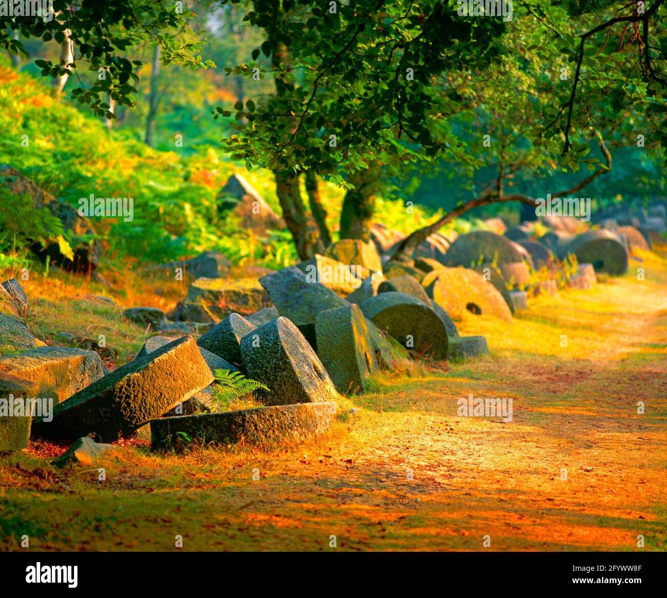 Flour milling district hi-res stock photography and images - Alamy