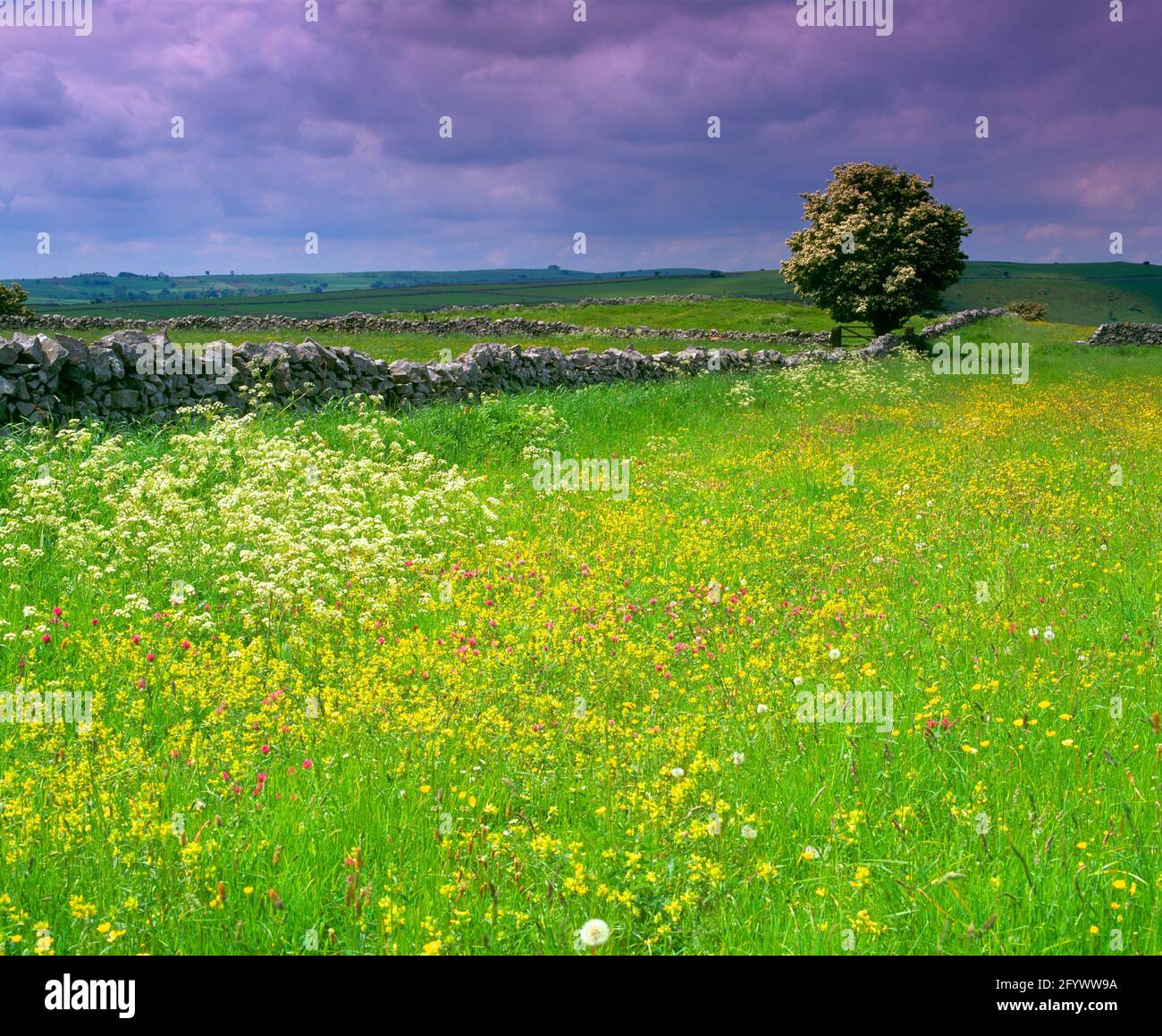 UK, Derbyshire, Peak District National Park, spring meadow and storm ...