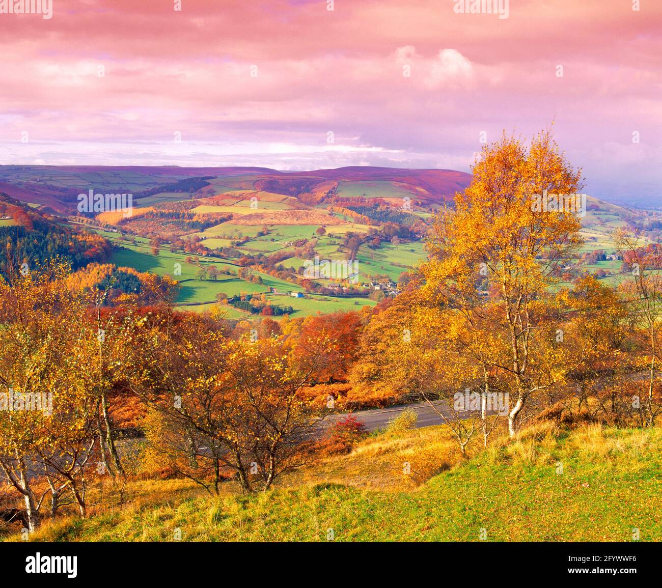 Silver fir peak hi-res stock photography and images - Alamy