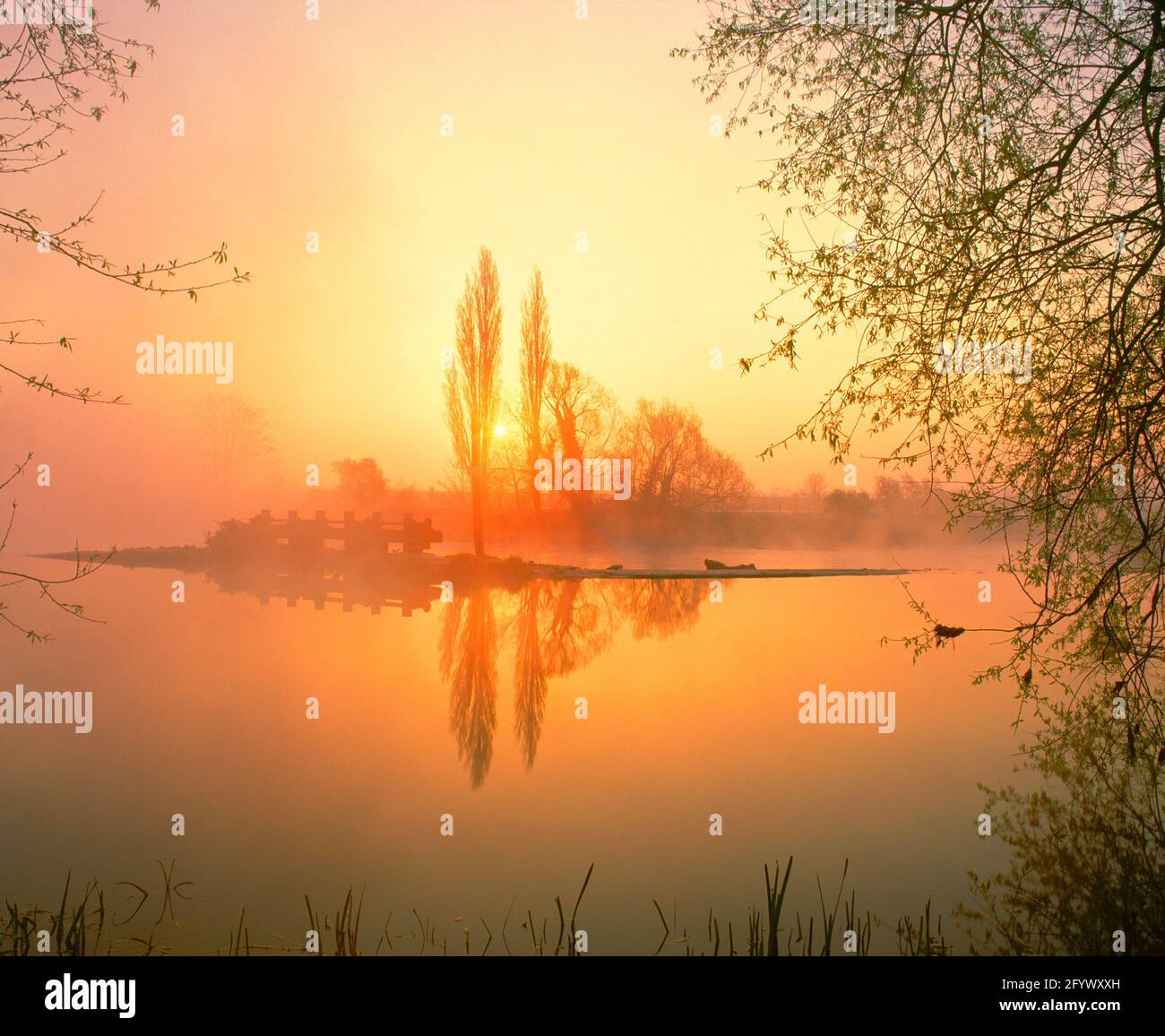 UK, England, Hereford & Worcester, Fladbury weir, dawn, spring Stock ...