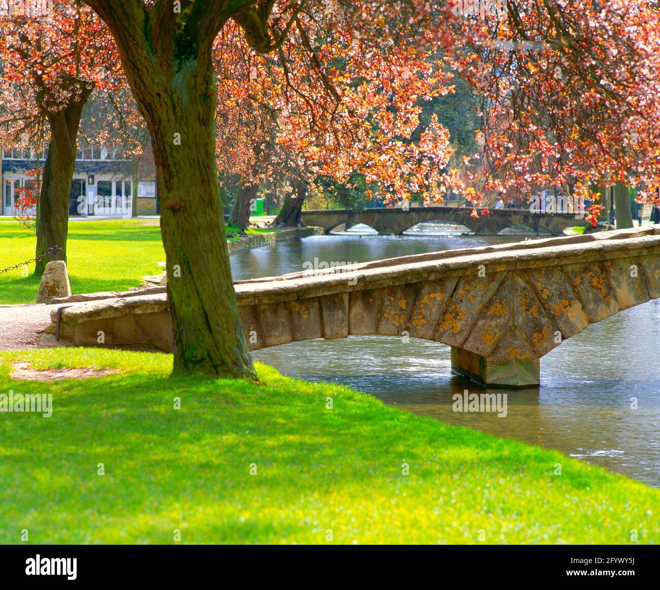 UK, England, Cotswolds, Burton-on-the-Water, river Windrush, spring ...