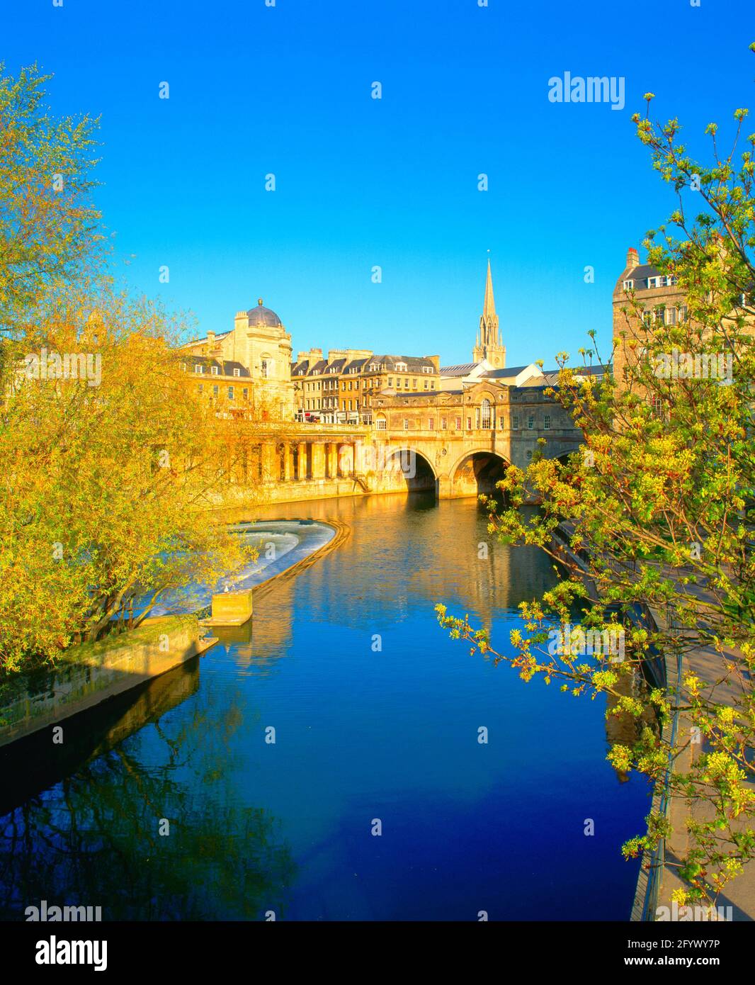 UK, England, Avon, Bath, Grand Parade Gardens with Pulteney Bridge ...