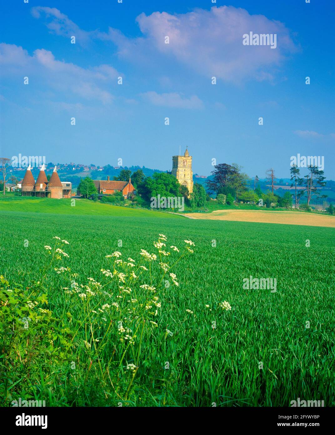 Horsmonden High Resolution Stock Photography and Images - Alamy