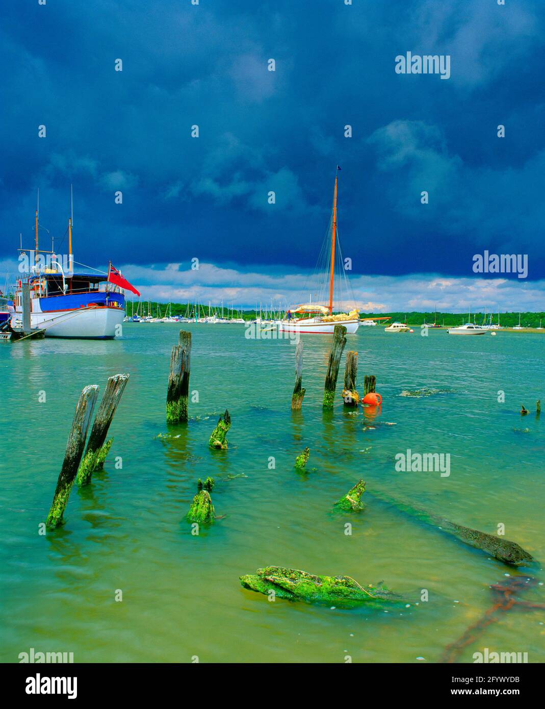 UK, England, Hampshire, New Forest, Bucklers Hard, Beaulieu estuary ...