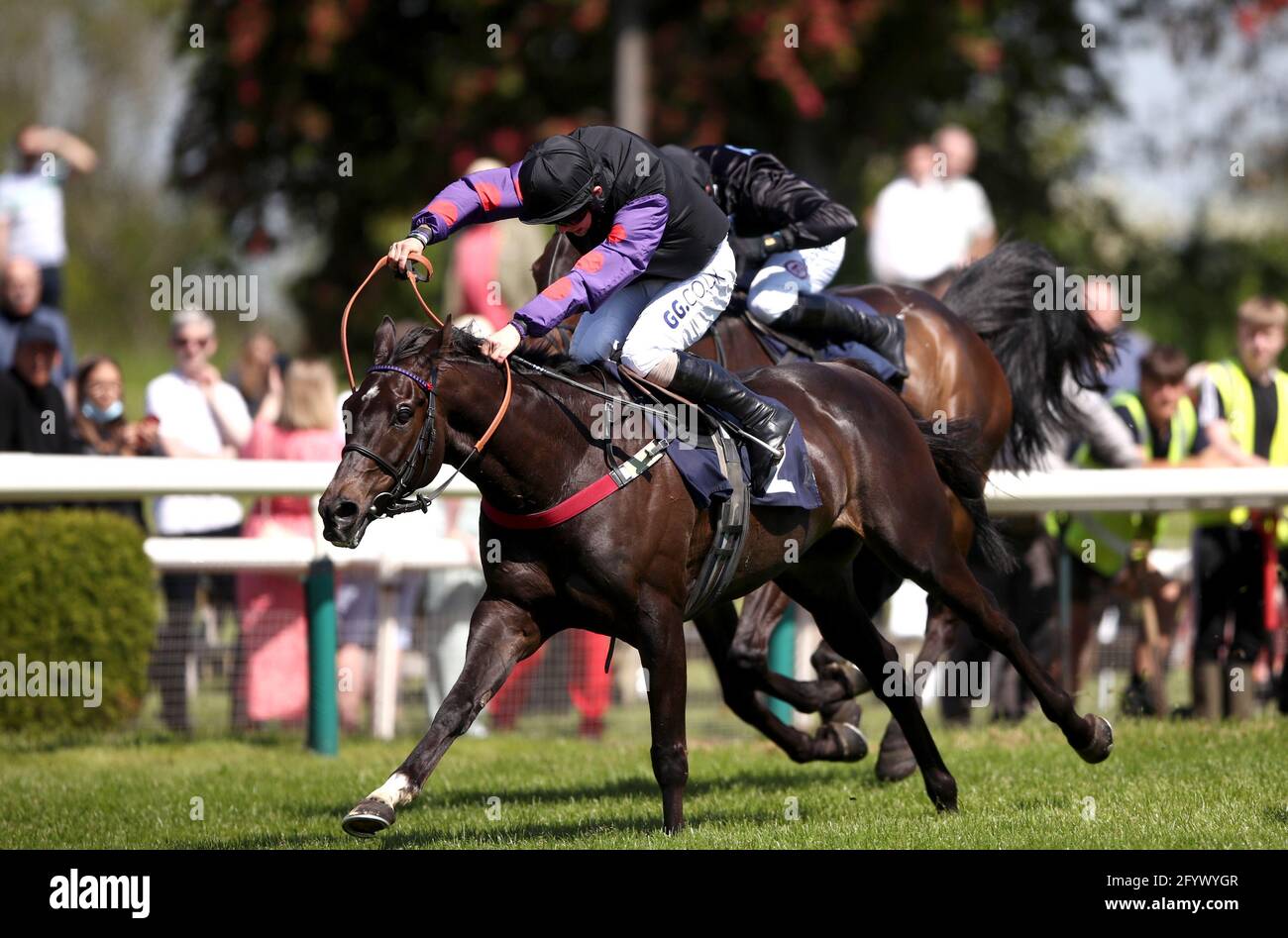Back on the lash horse hi-res stock photography and images - Alamy