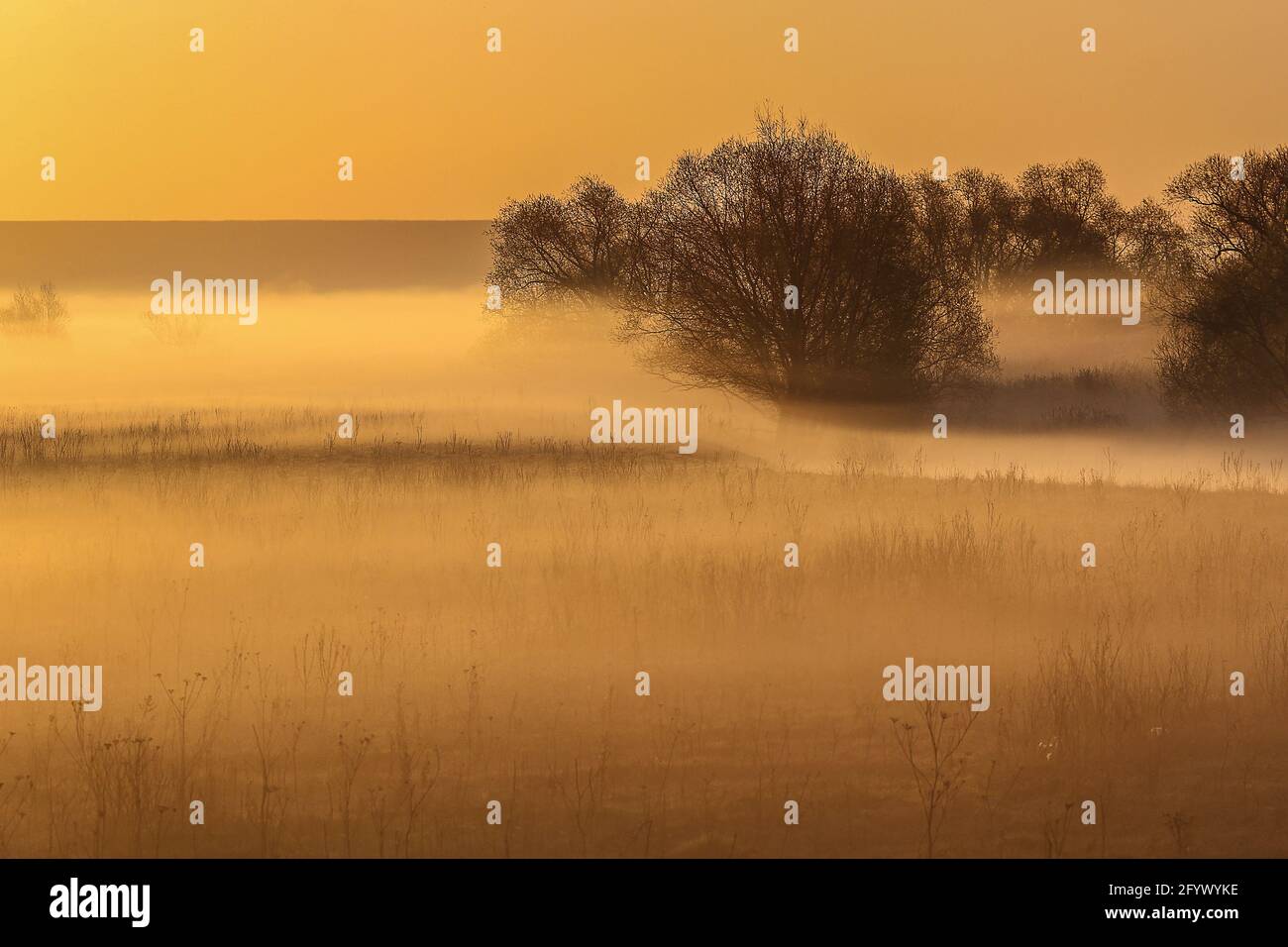 Sparse shrubs hi-res stock photography and images - Alamy