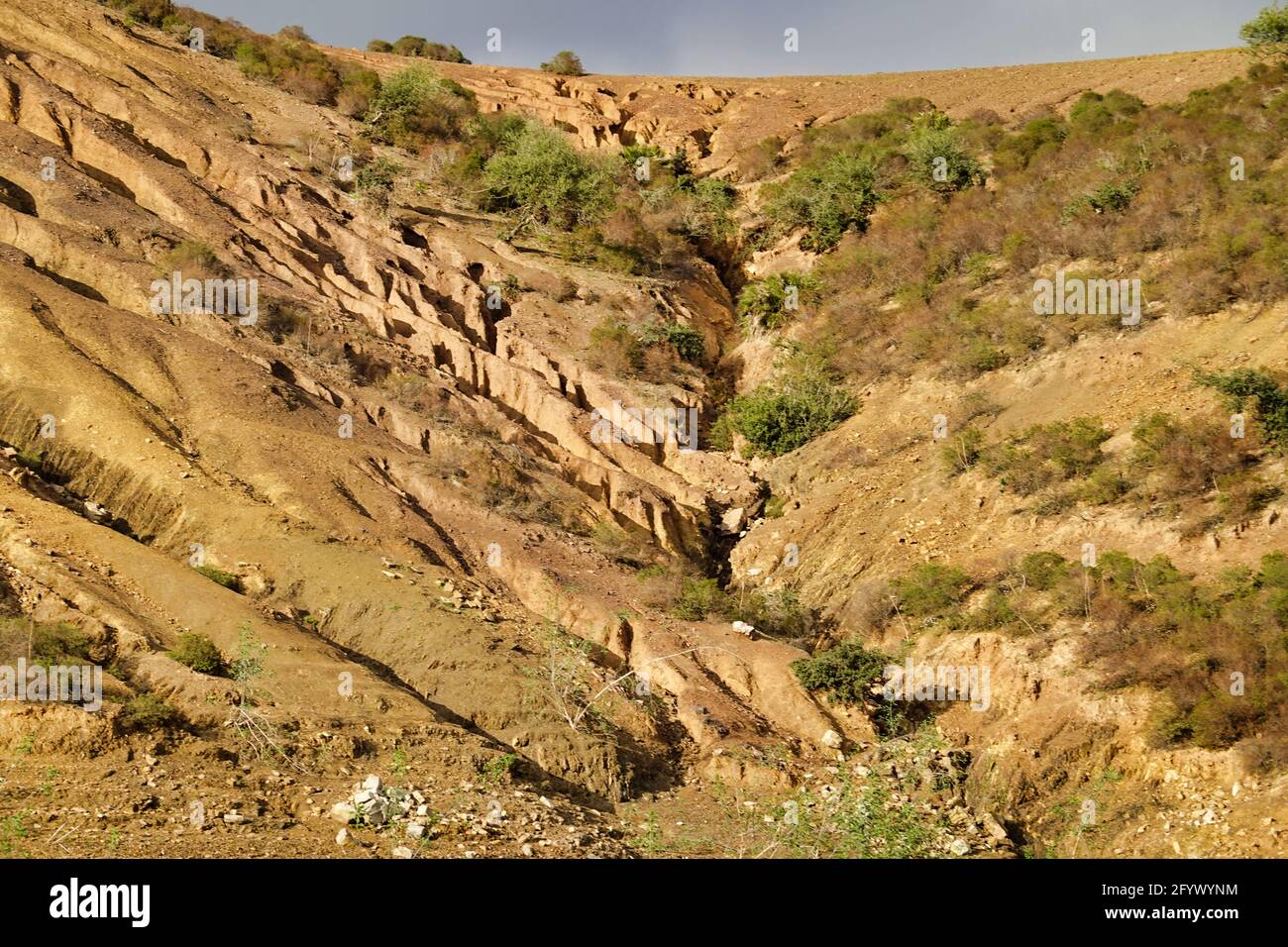 a beautiful sandy mountain slope with little greenery Stock Photo - Alamy